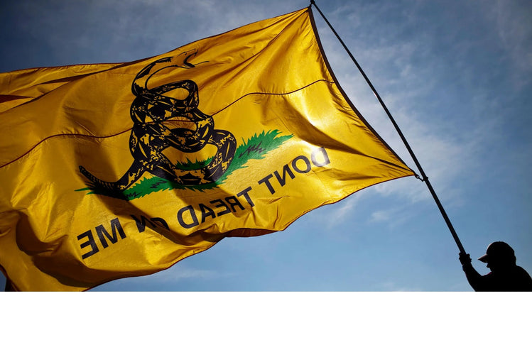 The Gadsden Flag: Don't Tread On Me – Gates Flag & Banner